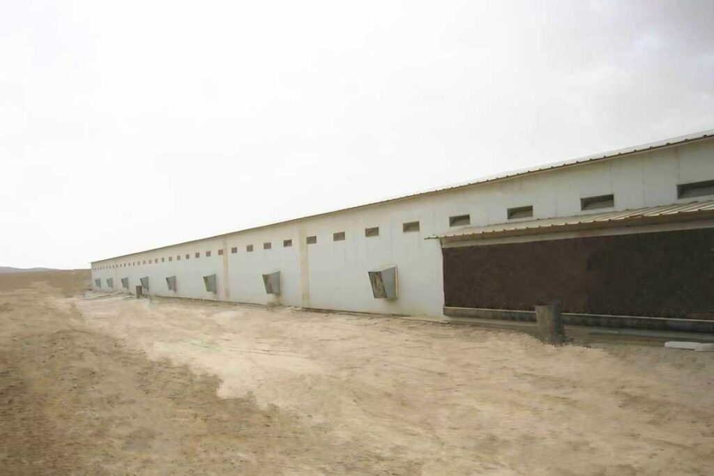 5 Reasons to Choose a Prefab Poultry House for Your Farm
